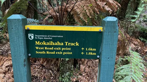 Best River Trails in Tokoroa | AllTrails