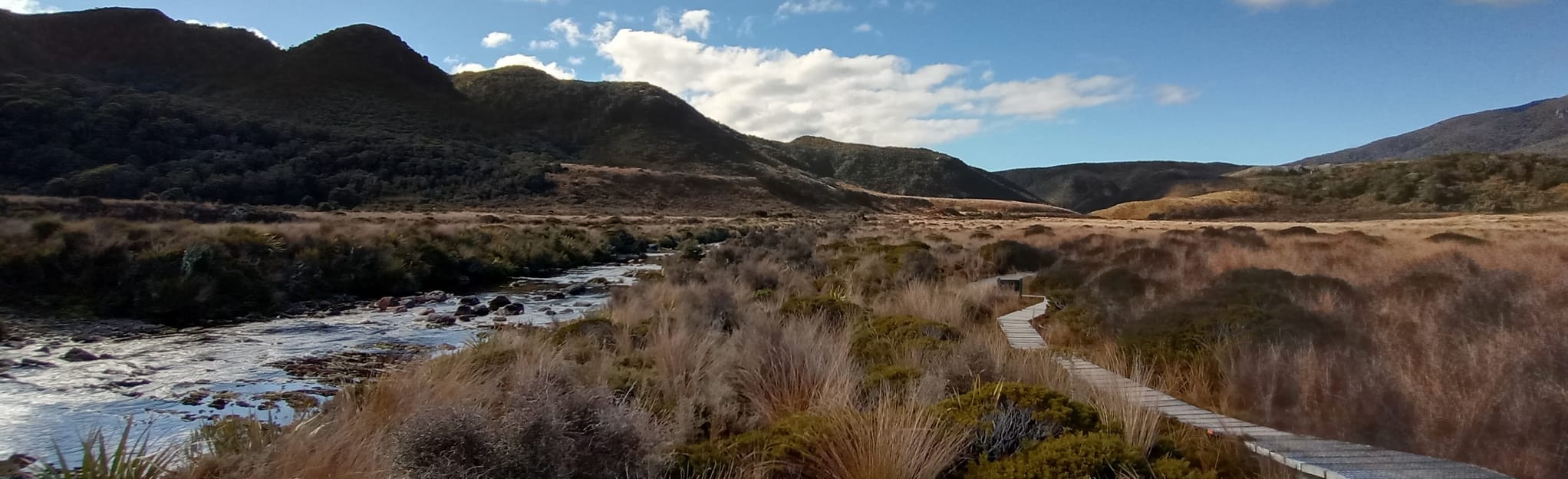 Heaphy Track: 41 Reviews, Map - Nelson-Tasman, New Zealand | AllTrails