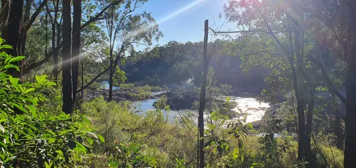 Best Camping Trails in Girringun National Park | AllTrails