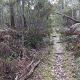 Mafeking Walking Loop, Victoria, Australia - 6 Reviews, Map | AllTrails