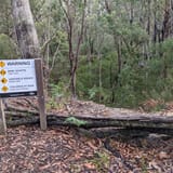Mafeking Walking Loop, Victoria, Australia - 6 Reviews, Map | AllTrails