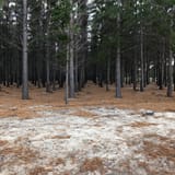 Tokai Forest Walk, Western Cape, South Africa - 216 Reviews, Map ...