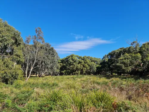 Best Hikes and Trails in Braeside Park | AllTrails