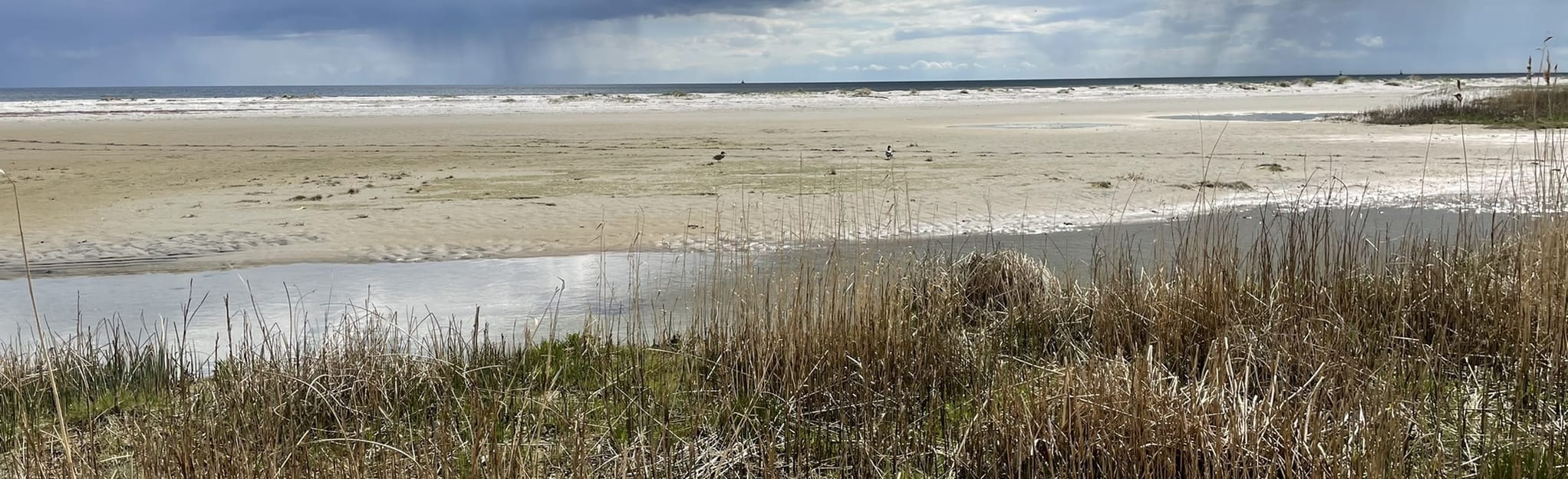 Hou Strand - Hals Strand: 2 Reviews, Map - North Denmark, Denmark ...