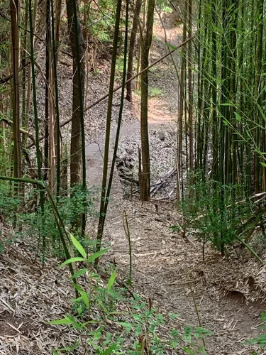 10 Best Trails and Hikes in Waco | AllTrails