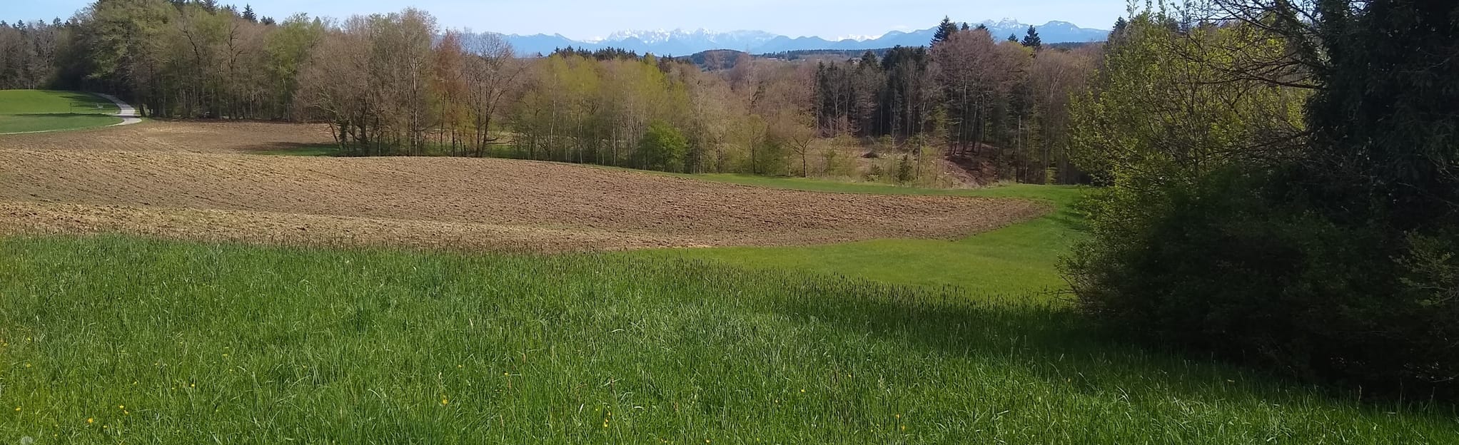 Zorneding - Falkenberg - Ebersberger Forest, Bavaria, Germany - 2 ...