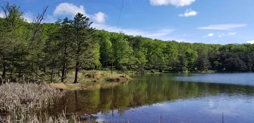 Best Hikes and Trails in Berkeley Springs | AllTrails