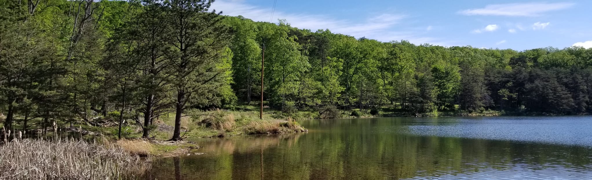 Laurel and Ziler Loop Trail: 160 Reviews, 350 Photos, Map - West ...