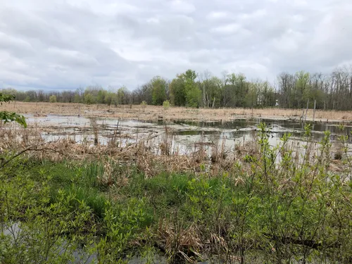 Best Hikes and Trails in High Acres Nature Area | AllTrails