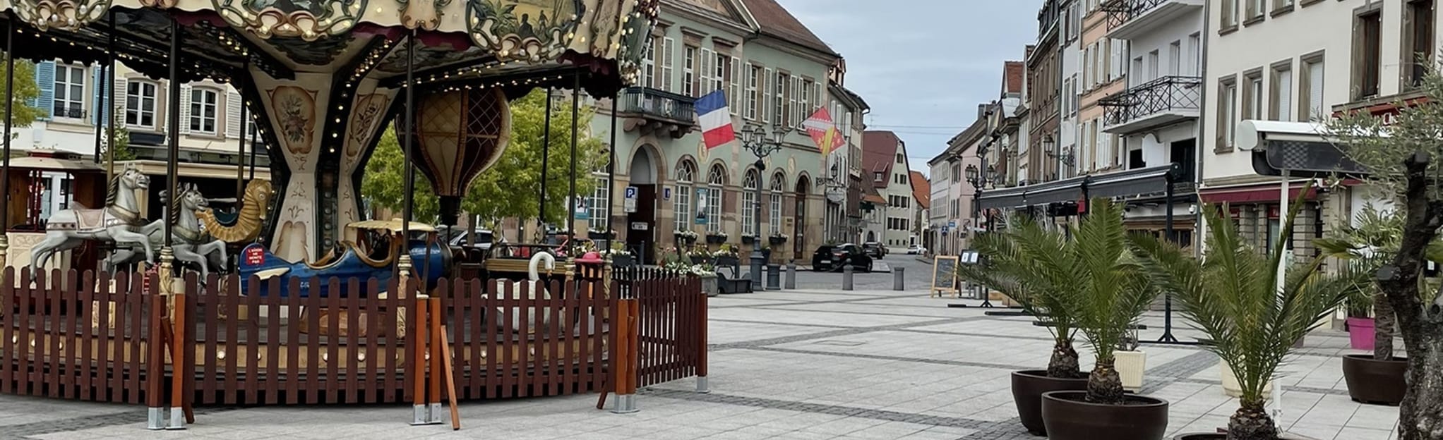 Molsheim by bike, Bas-Rhin, France - Map, Guide | AllTrails