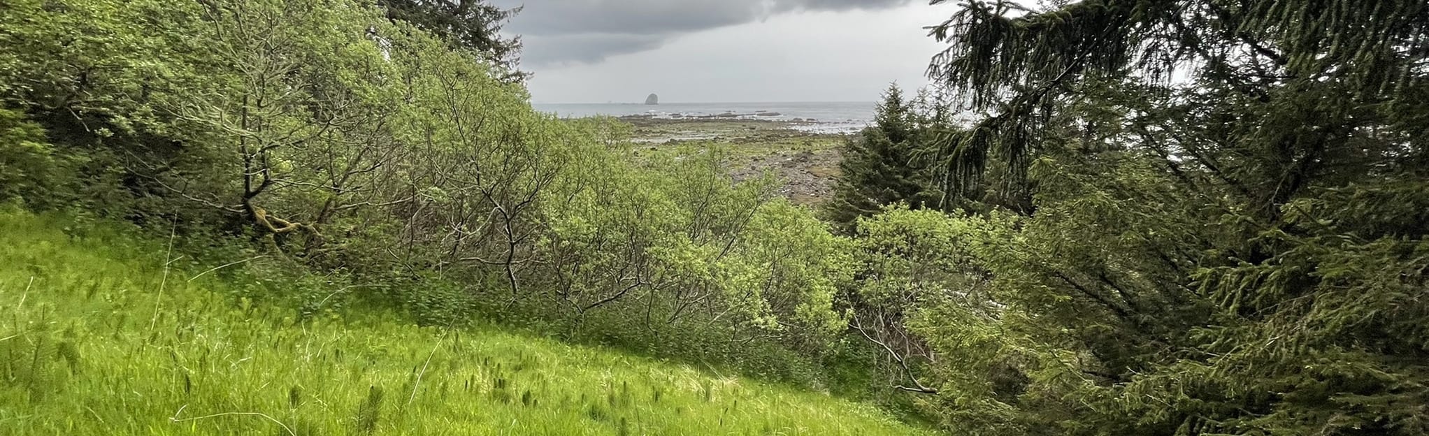 Cape Alava, Point of the Arches, and Shi Shi Beach from Ozette ...
