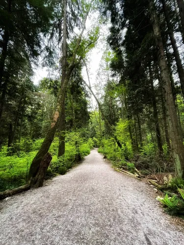 Best 10 Hiking Trails in Pacific Spirit Regional Park | AllTrails