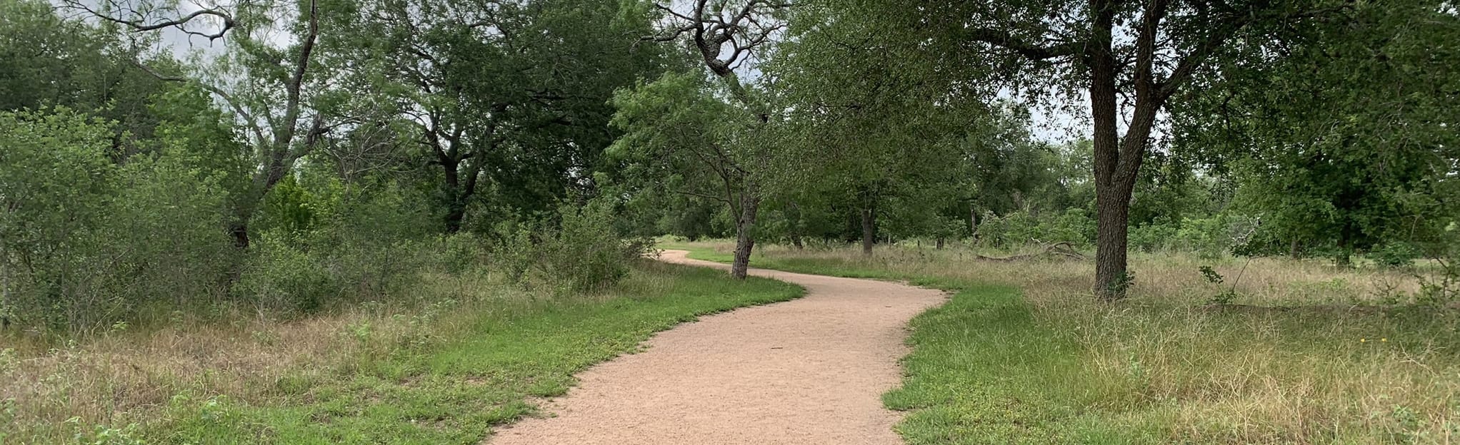 Crescent Bend Nature Park: 307 Reviews, Map - Texas | AllTrails