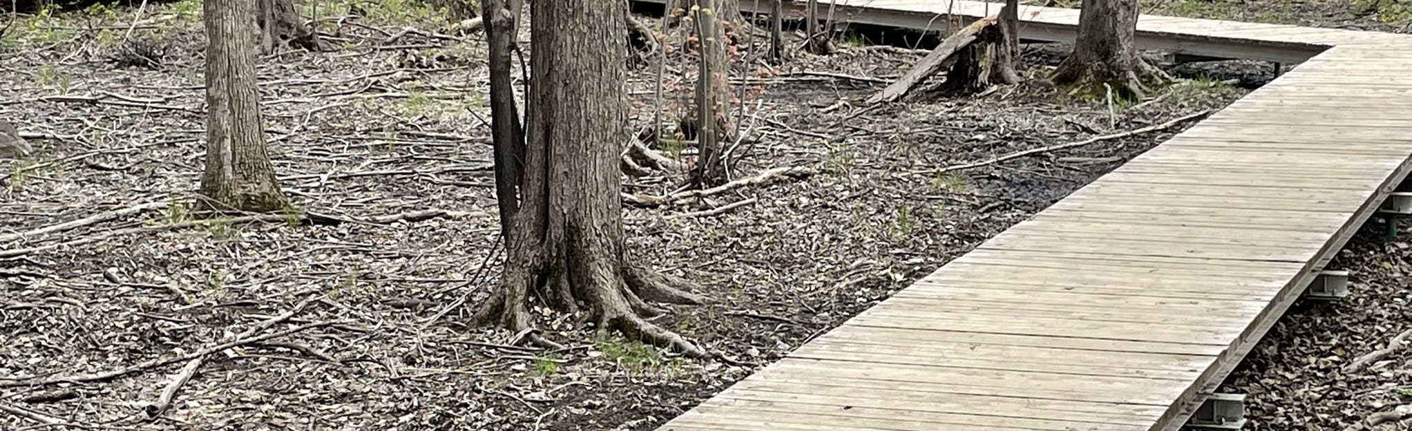 Parulines Natural Park: 25 Reviews, Map - Quebec, Canada | AllTrails