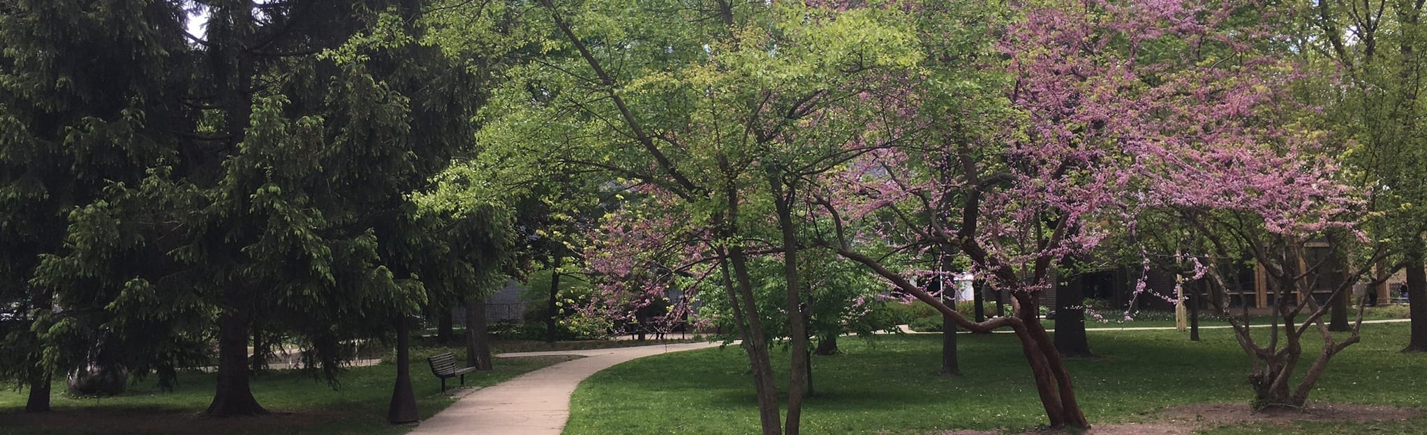 Austin Gardens Environmental Center Loop: 29 Reviews, Map - Illinois ...