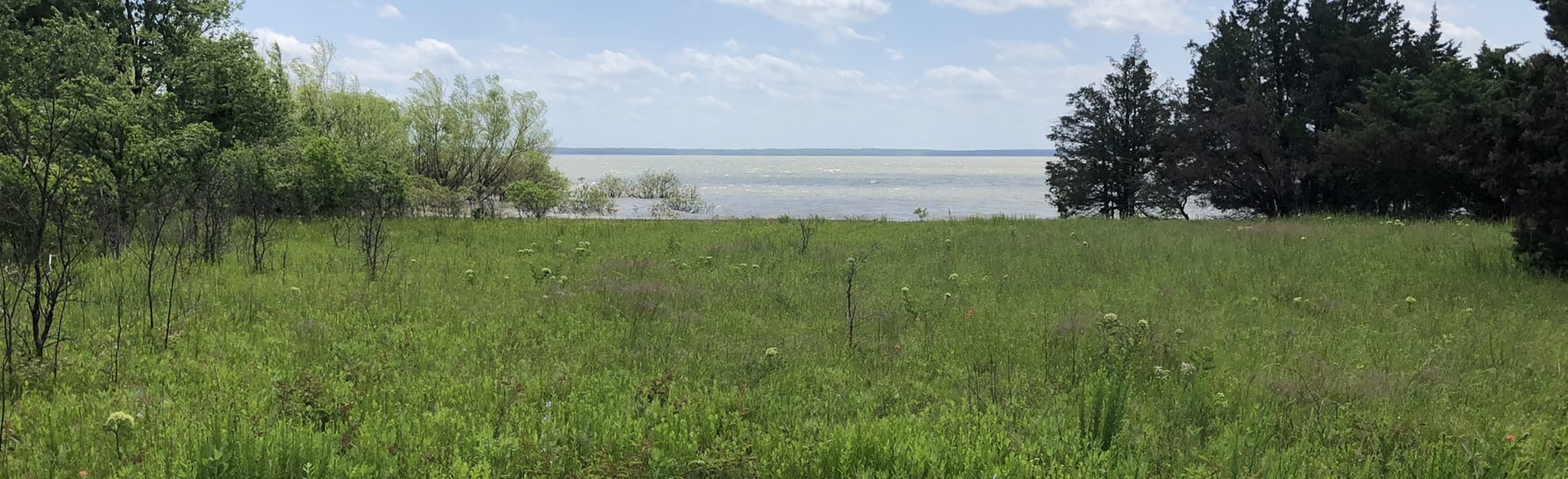 Cooper Lake Trail: 73 Reviews, Map - Texas | AllTrails