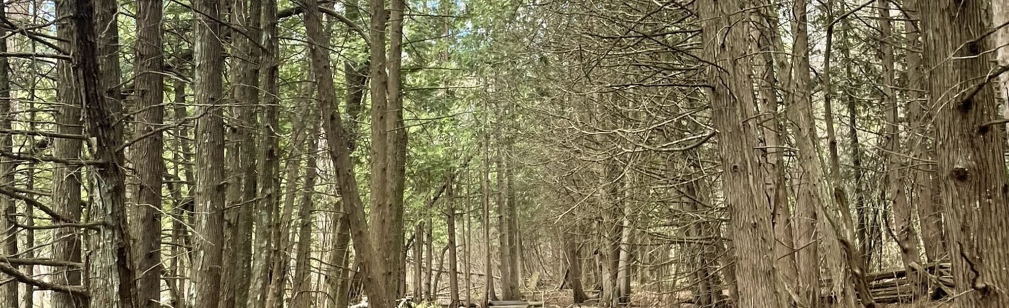 Oak Ridges Trail: East Boardwalk, Ontario, Canada - 28 Reviews, Map ...