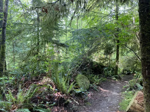 10 Best Trails and Hikes in Maple Valley | AllTrails