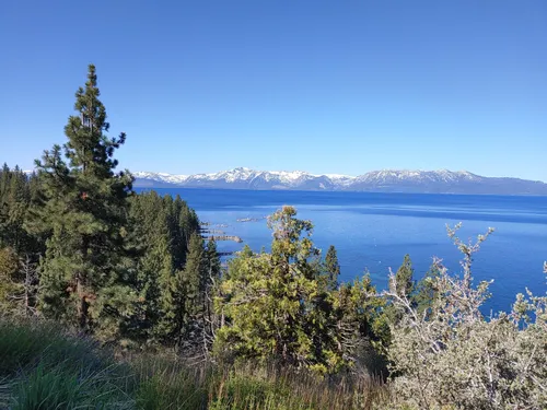 10 Best Hikes and Trails in Humboldt-Toiyabe National Forest | AllTrails