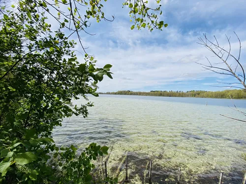 Best Hikes and Trails in Olin Lake Nature Preserve | AllTrails