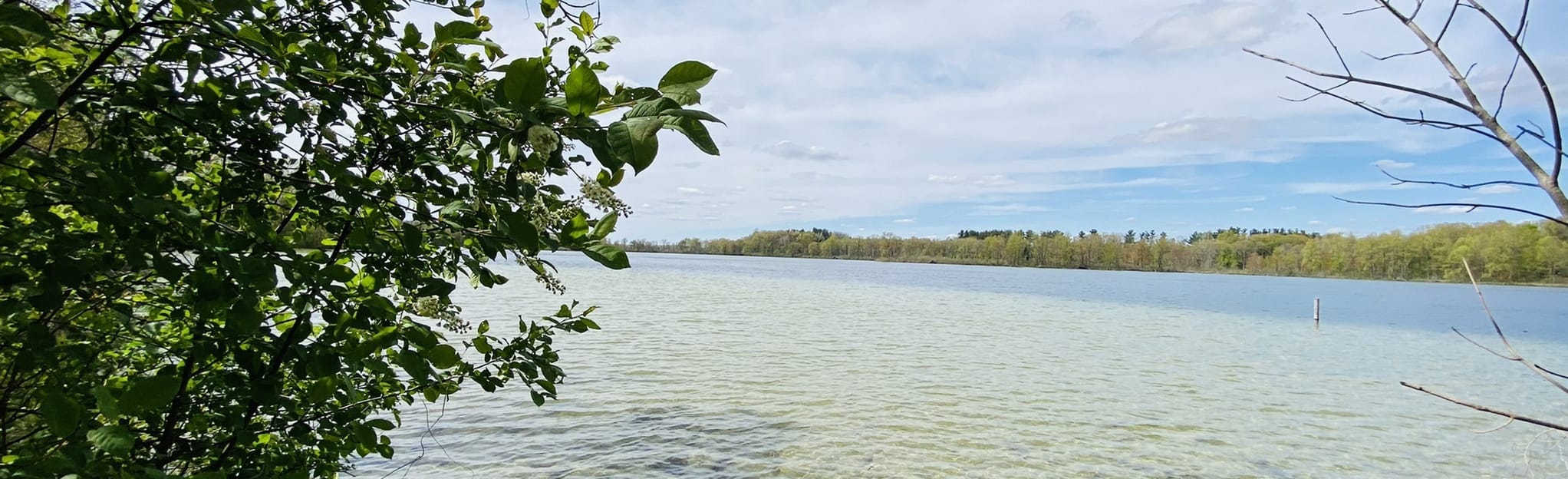 Olin Lake Nature Preserve Trail: 46 Reviews, Map - Indiana | AllTrails