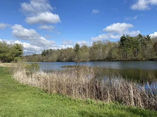 Best Hikes and Trails in Springwater Conservation Area | AllTrails