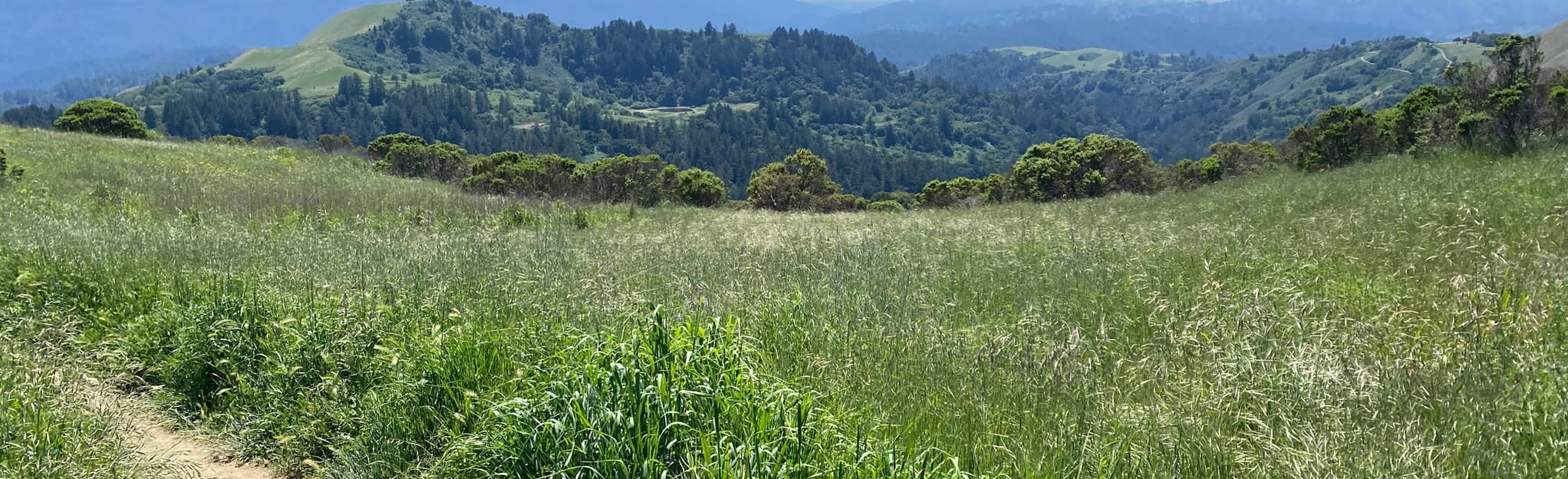 Russian Ridge and Long Ridge MTB: 36 Reviews, Map - California | AllTrails