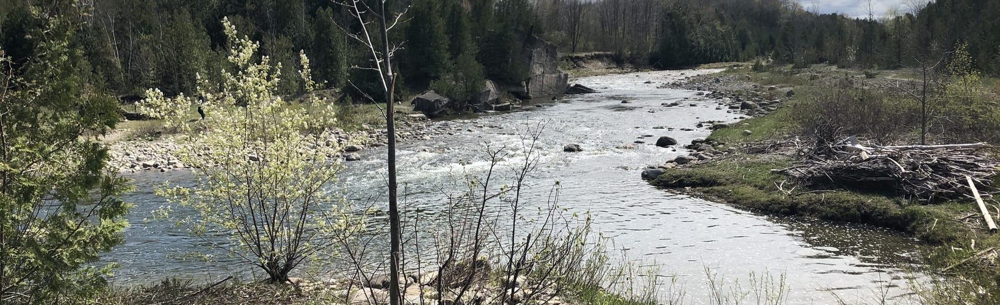 Trout Hollow Trail (Western Side), Ontario, Canada - 38 Reviews, Map ...