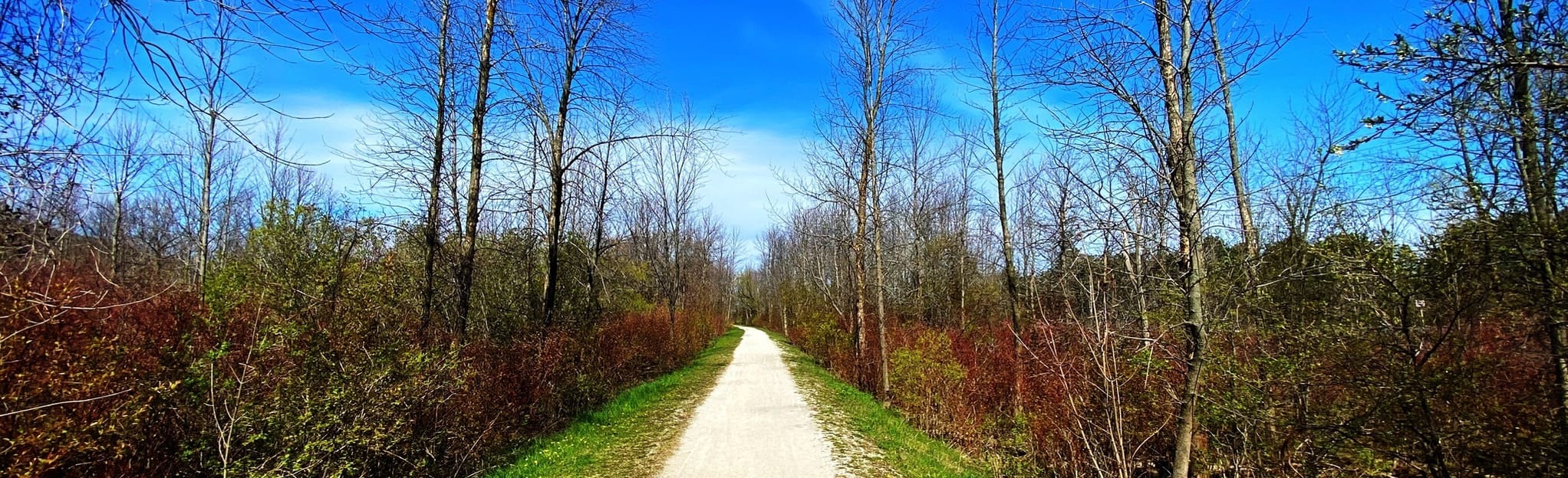 Georgian Trail , Ontario, Canada - 239 Reviews, Map | AllTrails