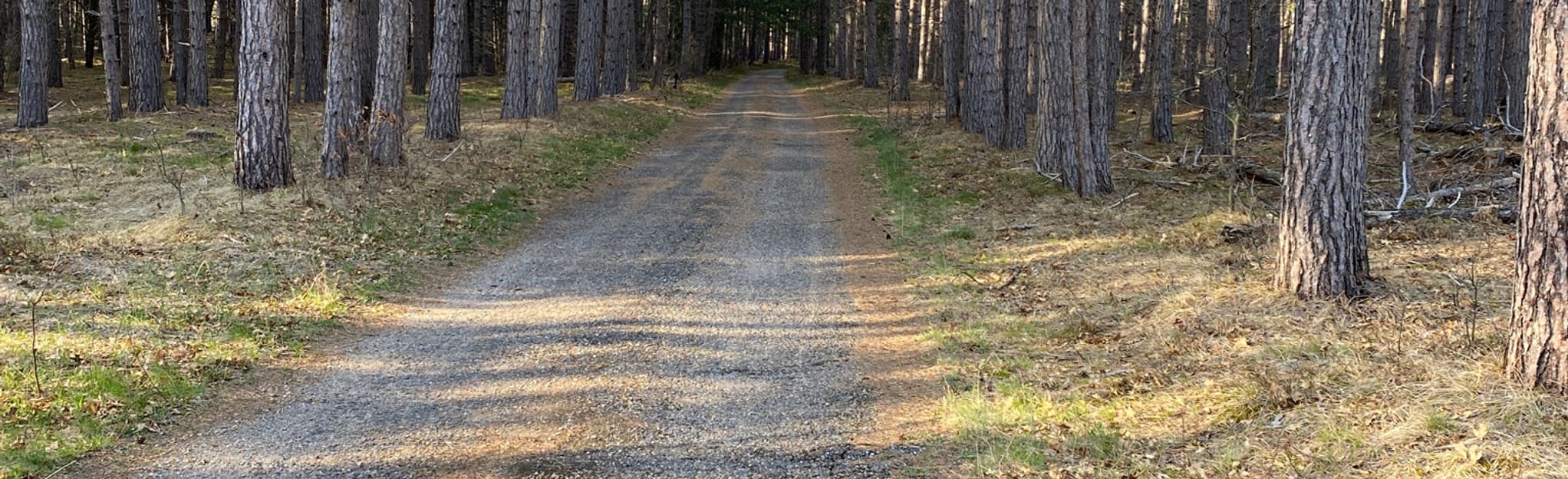 Rayburn Trail, Michigan - 44 Reviews, Map | AllTrails