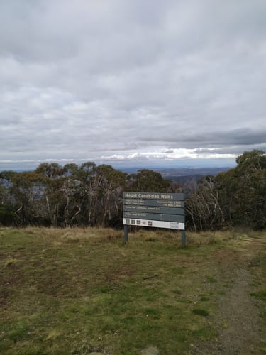 Best 10 Hikes and Trails in Mount Canobolas State Conservation Area ...