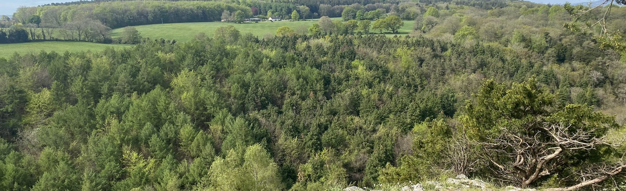 Goblin Combe: Cox’s/Knapps Circular: 189 Reviews, Map - Somerset ...