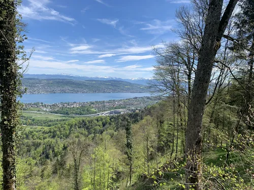 10 Best Trails and Hikes in Zurich | AllTrails