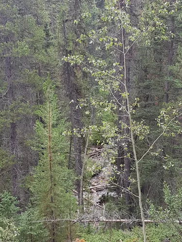 Best hikes and trails in Spruce Lake | AllTrails