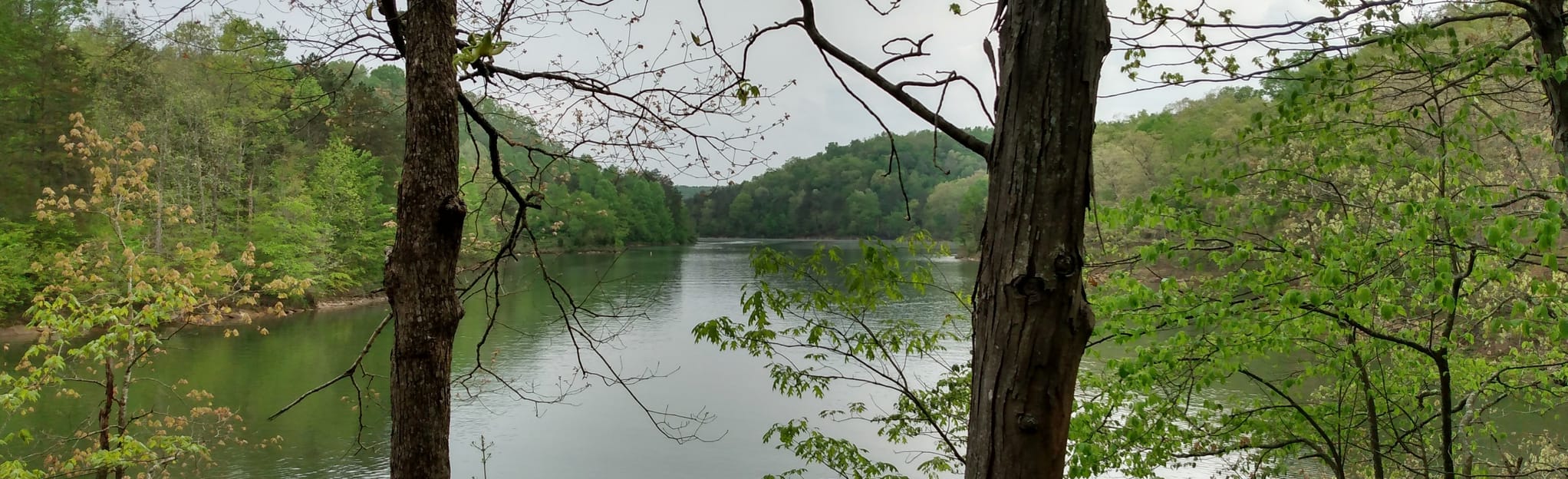 Yatesville Lake State Park Campground Loop, Kentucky - 15 Reviews, Map ...
