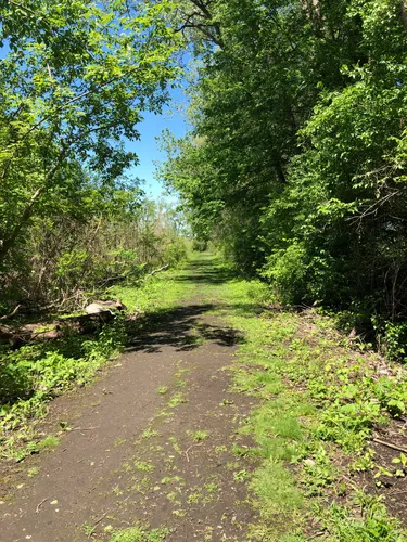 Best Hikes and Trails in Castalia Quarry Reserve | AllTrails