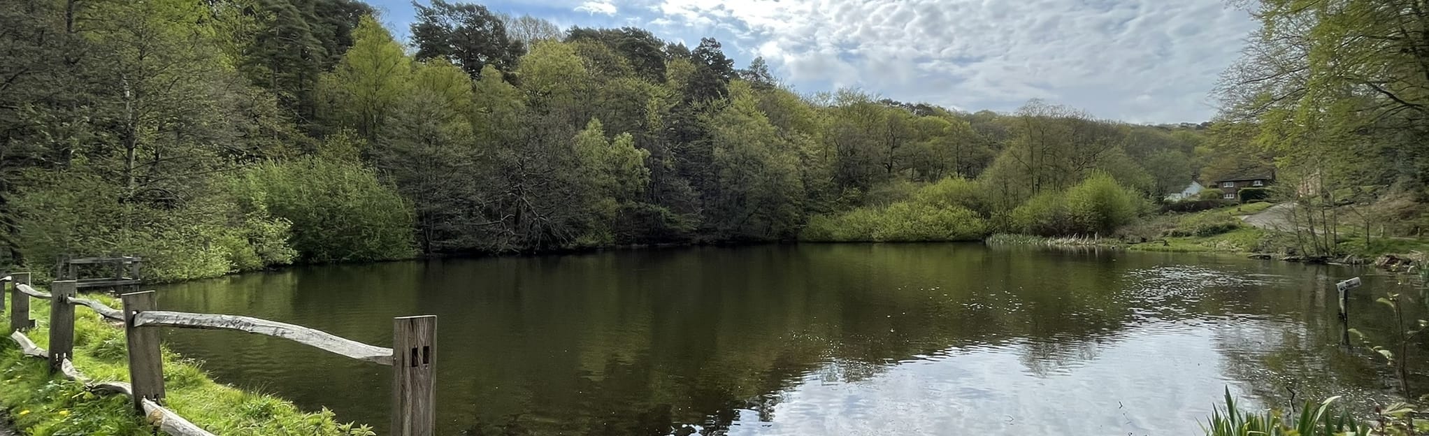 Leith Hill and Tillingbourne Waterfall Loop: 1.604 Fotos - Surrey ...