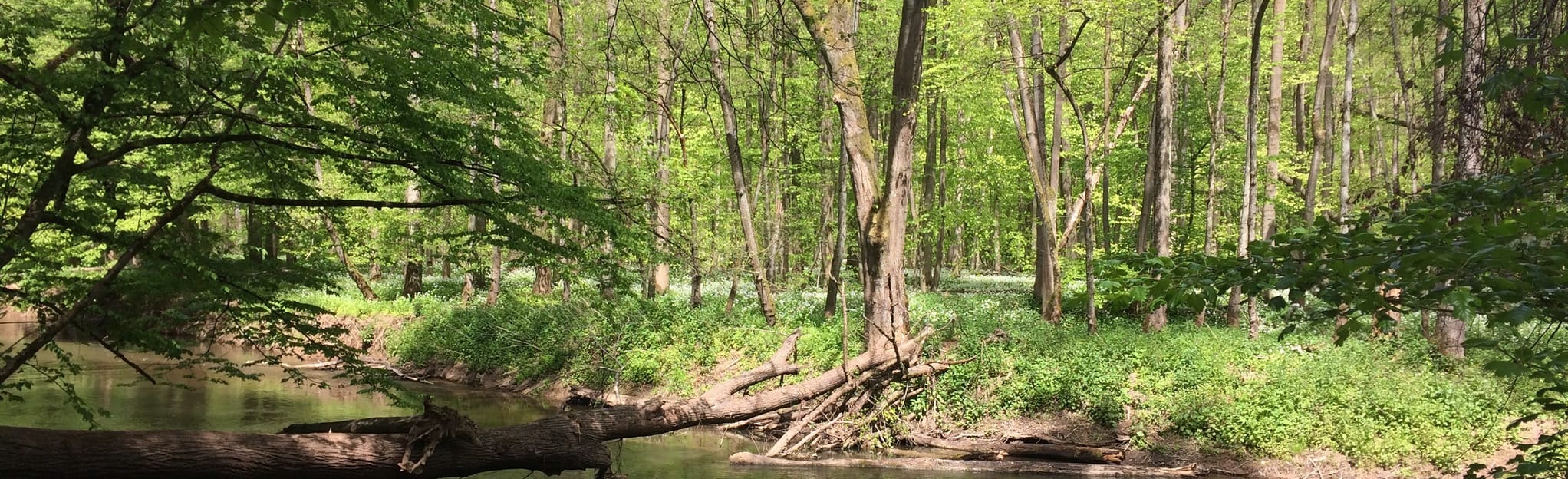 Erlensee and Bulau from Rueckingen, Hesse, Germany - 2 Reviews, Map ...