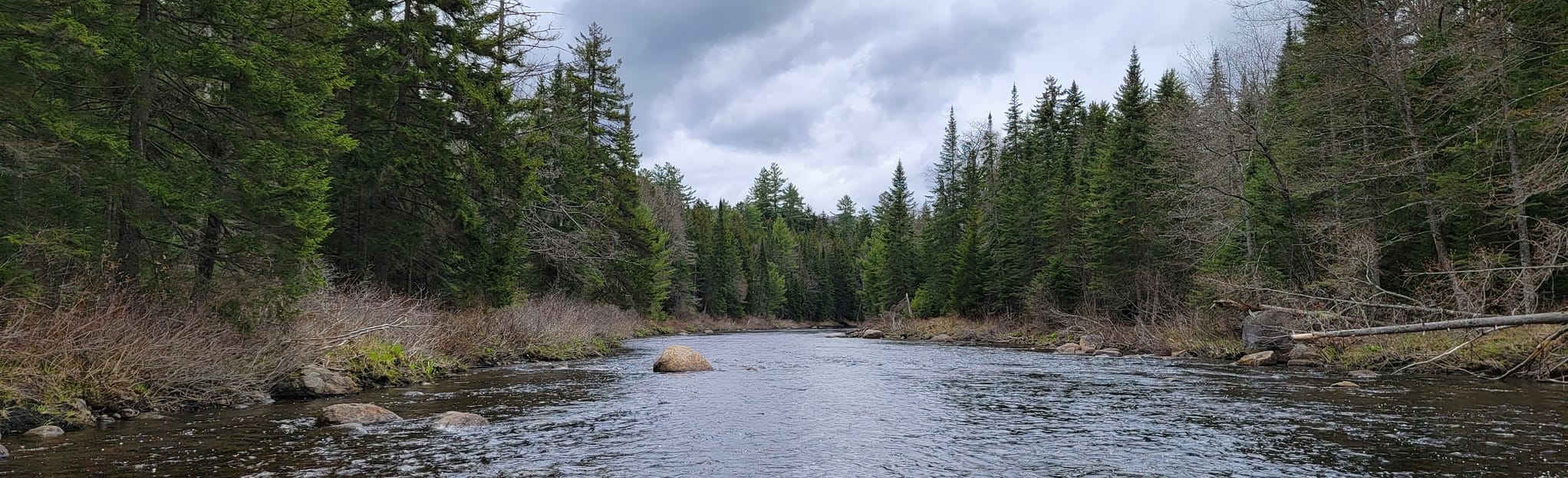 Boreas Loop Trail: 11 Reviews, Map - New York | AllTrails