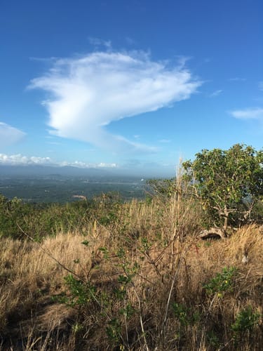 Best 10 Trails and Hikes in Quezon | AllTrails