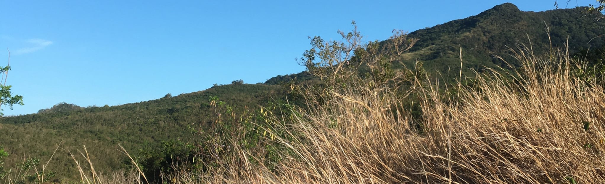Mount Malepunyo - Ditanan Hill, Laguna, Philippines - Map, Guide ...