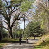 Quabbin Reservoir via Gate 40, Massachusetts - 204 Reviews, Map | AllTrails