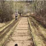 Rundle Park Riverside Trail, Alberta, Canada - 217 Reviews, Map | AllTrails