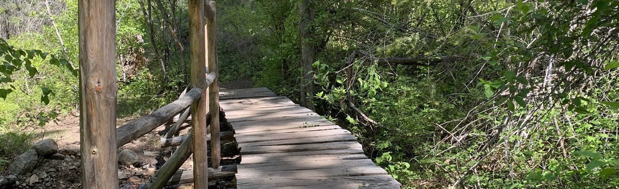 Turnbull Creek - Chipmunk Trail: 45 Fotos - British Columbia, Kanada ...