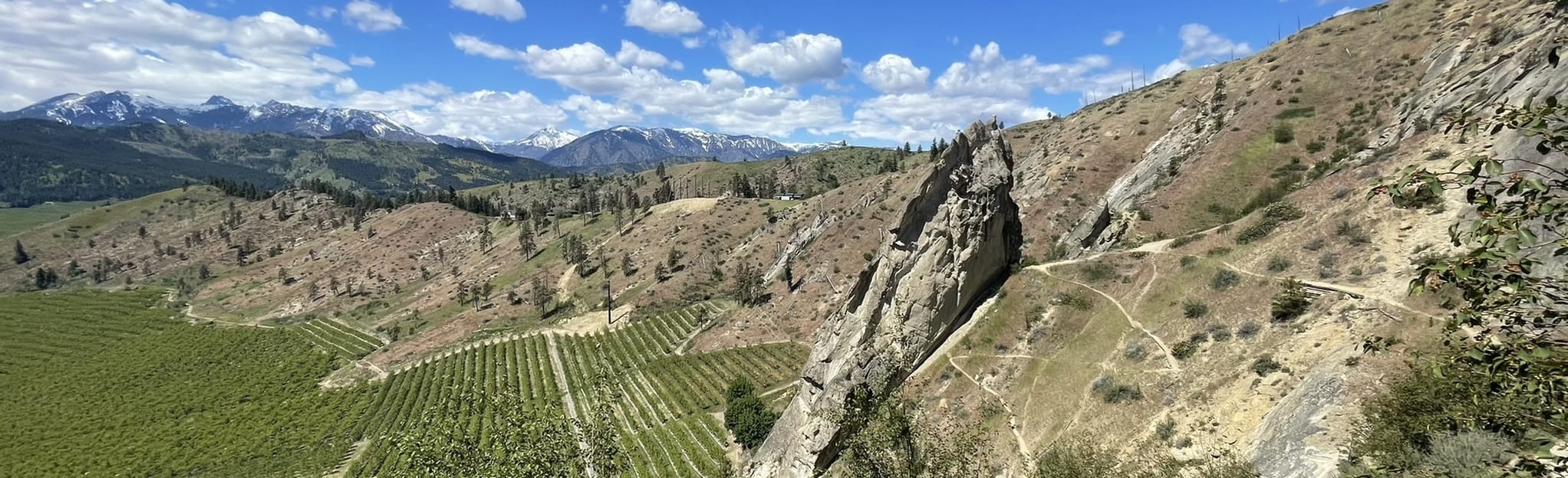 Peshastin Pinnacles Loop: 243 Reviews, Map - Washington | AllTrails