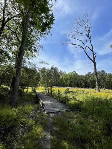 2023 Best trails in Harbison State Forest | AllTrails