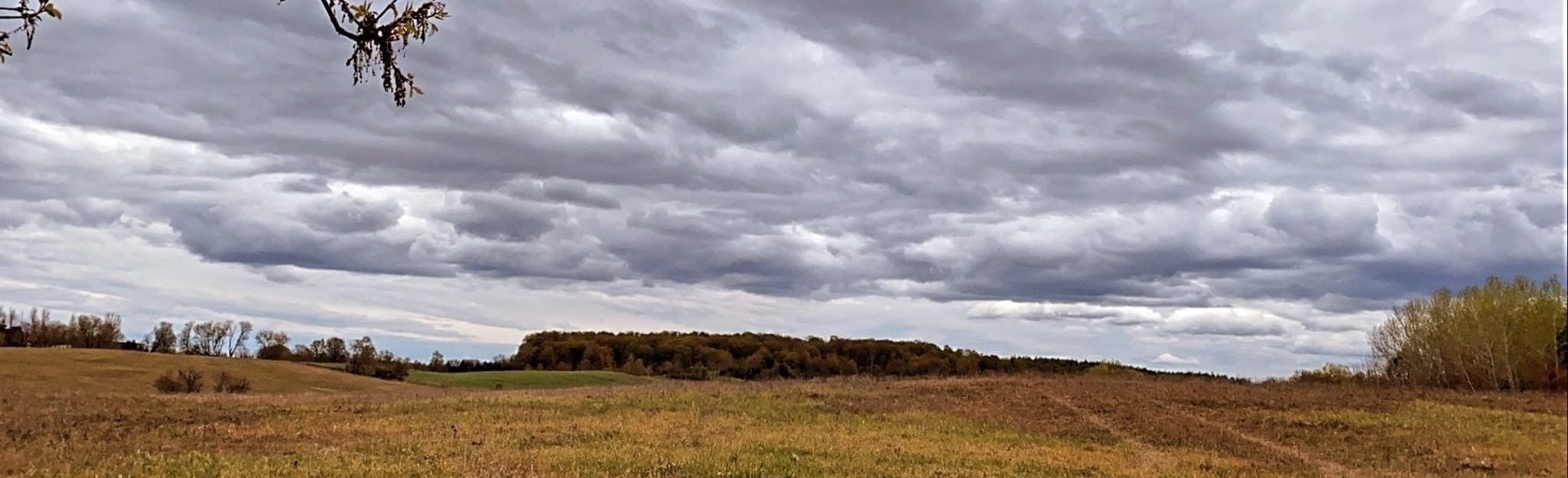 Oak Ridges Trail Schomberg, Ontario, Canada - 8 Reviews, Map | AllTrails