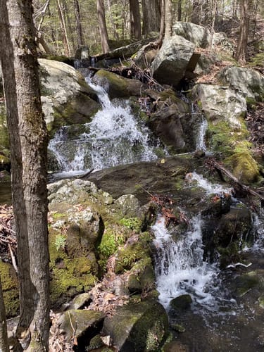 Best Hikes and Trails in Bear Swamp | AllTrails