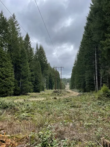 10 Best Off Road Driving Trails in Oregon | AllTrails