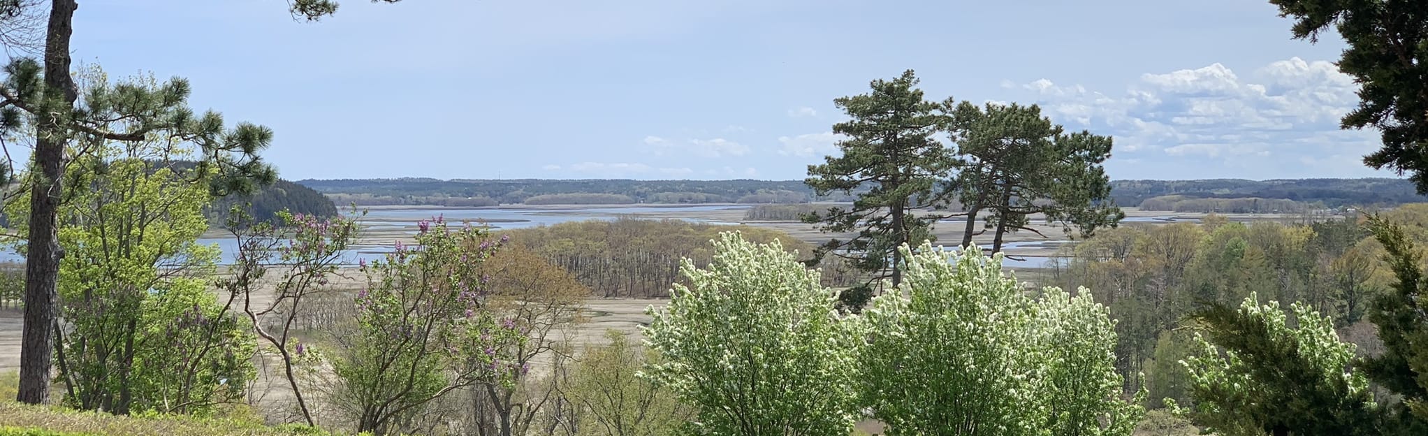 Steep Hill Beach and Crane Beach Loop: 809 fotos - Massachusetts ...